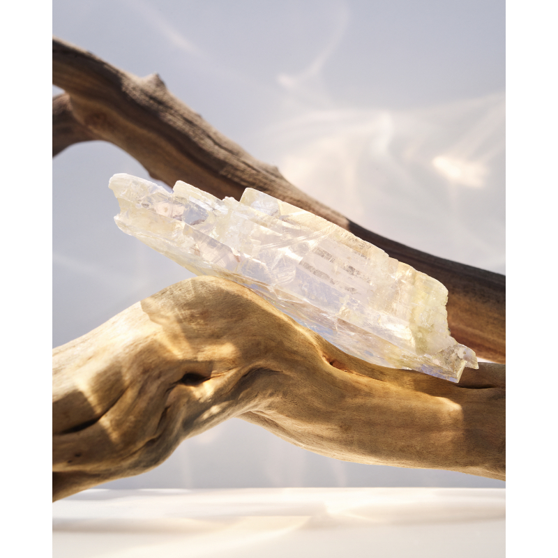 Comprar perfume Omnia Crystalline Eau de Parfum | Perfumería Júlia